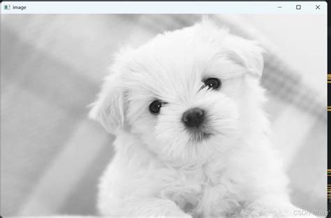 Opencv简单使用 Csdn博客