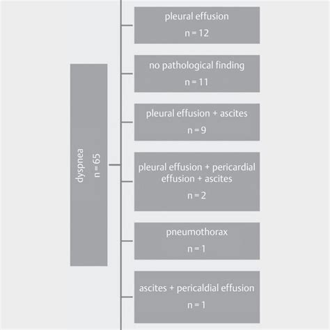 Pathological Findings Detected By Hh Pocus Scans Performed By