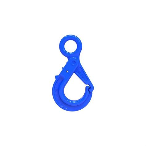 China G100 Special Eye Self Locking Hook Suppliers Manufacturers