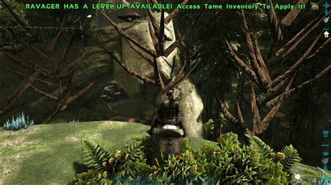 Abberation Graphical Bug Rplayark