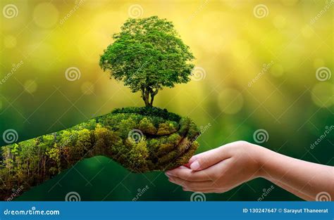 7 803 326 Photos De Environnement Photos De Stock Gratuites Et Libres