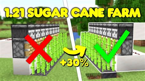Boost Your Minecraft Sugar Cane Farms By 30 Percent 121 Java