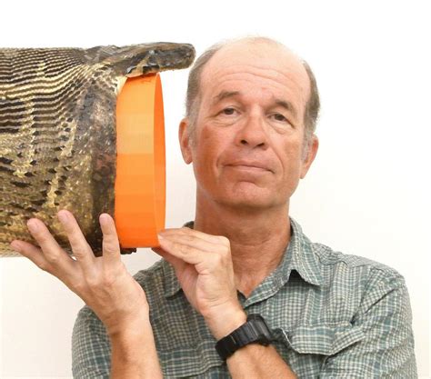 How Python Kills Experts Reveal Shocking But Extremely Rare Case Of