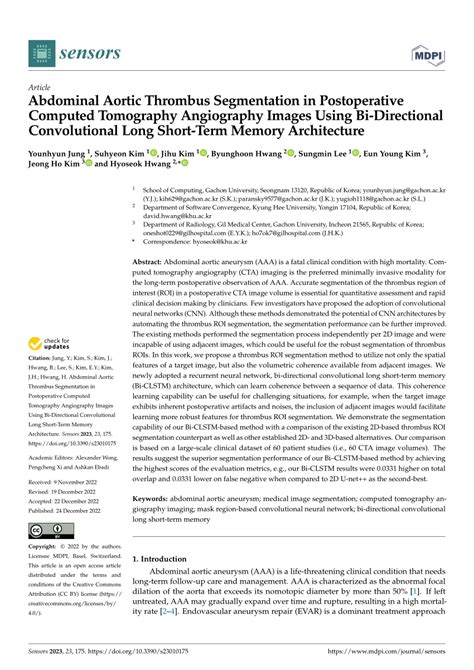 Pdf Abdominal Aortic Thrombus Segmentation In Postoperative Computed Tomography Angiography