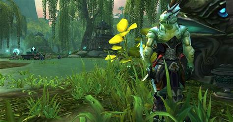 Easily One Of My Favorite Races In Wow We Want More Jinyu Album On