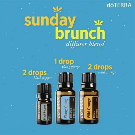 Sunday Brunch Diffuser Blend Black Pepper Ylang Ylang And Wild Or