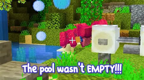 Getting Married To Aphmau In Minecraft Getting Married To Aphmau In
