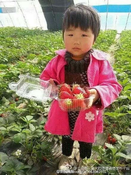 山东4岁女孩失踪近18小时 公安部发布寻人启事 新闻频道 中国青年网