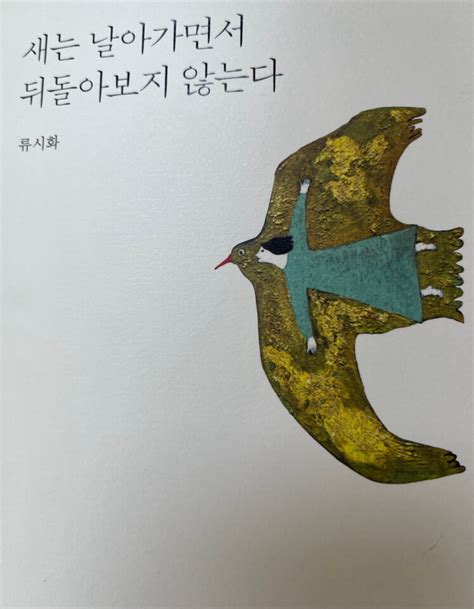나의 마음 챙김을 하는 새는 날아가면서 뒤돌아보지 않는다를 읽고
