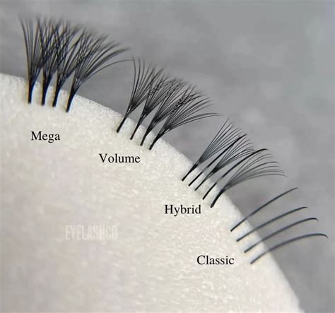 Lashes Eyelash Extensions Types Of Eyelash Extensions Eyelashes