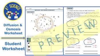 Diffusion Osmosis Worksheet Cellular Transport Activity With Answer Key