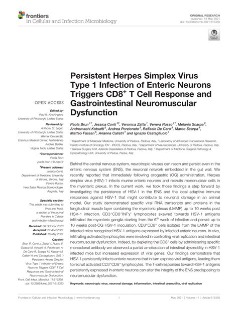 Pdf Persistent Herpes Simplex Virus Type 1 Infection Of Enteric