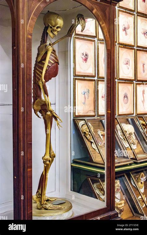The Museum Known As La Specola In Florence Founded In 1775 Contains