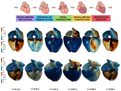 Best Papers The Dealii Finite Element Library