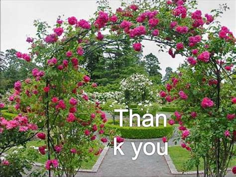 Introduction To Systemic Physiology Lecture One Ppt