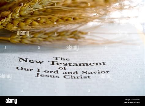 Selective Focus Of New Testament Of Holy Bible Index For Backgroud And