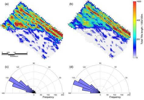 A A Binary Image Showing The Automatically Extracted TMs And B An Download Scientific