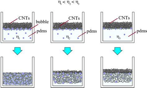 Schematic Of The Cnts Pdms Based Sensor Fabrication Procedure At