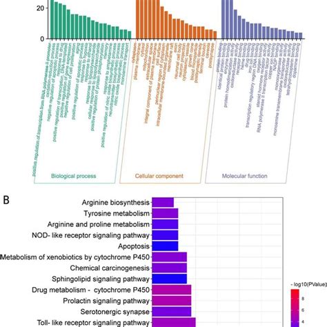 Bioinformatic Analyses Of Drug Disease Intersection Proteins Go
