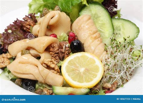 Fine Dining Meal Fresh Squid Stock Image Image Of Lettuce Dressing