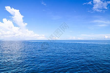 海昌海洋图片海昌海洋素材海昌海洋高清图片摄图网图片下载