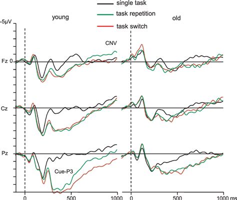 Figure 2 From Neuroscience And Biobehavioral Reviews Understanding Sources Of Adult Age Di ﬀ