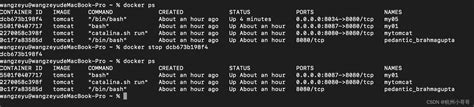 docker stop 停止容器 docker 停止容器 csdn博客