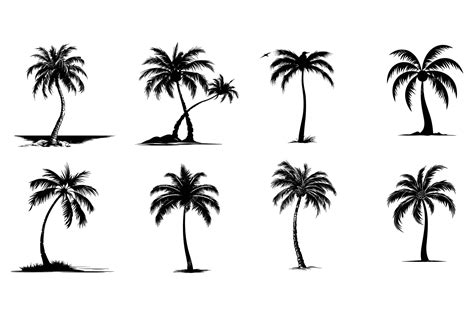 Premium Vector Palm Trees On The Beach Palm Trees Silhouettes Set Of