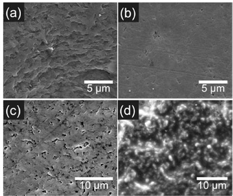 Sem Micrographs Of A Pvdf Hfp B Pvdf Hfp With Litfsi C Pg 10