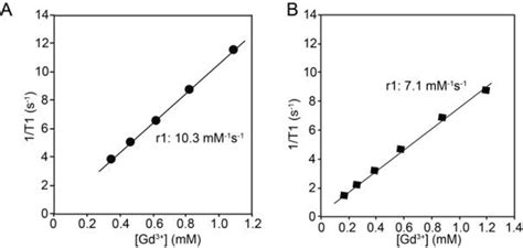 A Simple Method For The Synthesis Of Porous Polymeric Vesicles And Their Application As Mr