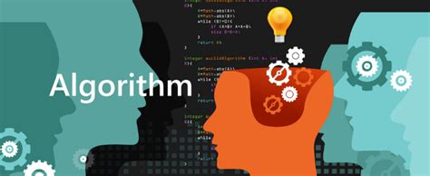 Top 5 Data Science Algoritmes Die Je Moet Kennen