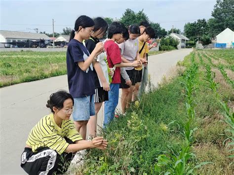 三下乡 青岛科技大学赴平度市新河镇“兴火乡传·青春筑梦”发展成就观察团开展暑期实践活动 农机合作助发展 农民合作促振兴 青岛科技大学团委
