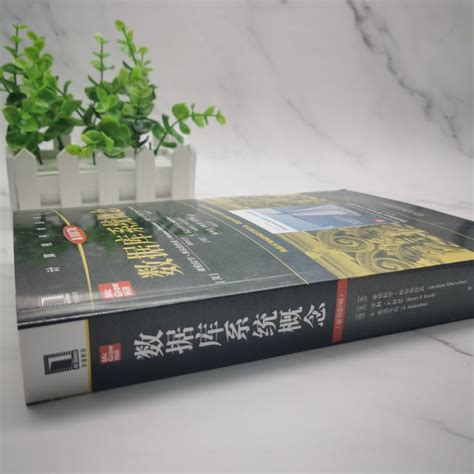 【全套6册】数据库系统设计实现与管理基础篇进阶篇数据库系统实现基础教程数据库管理数据库系统概念数据库系统丛书虎窝淘