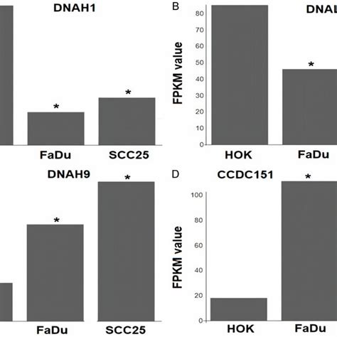 Validating Dnah1 Dnali1 Dnah9 And Ccdc151 Expressions Using Hok