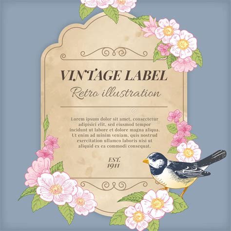 Vector Vintage Compass Rose Stock Vector Illustration Of Vector