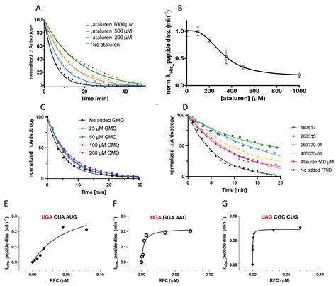 A High Throughput Assay For In Vitro Determination Of Release Factor Dependent Peptide Release