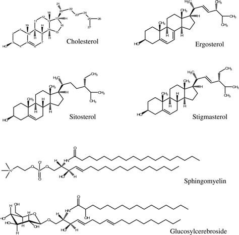 Planar Molecular Structures Of Sterols And Sphingolipids Used In This