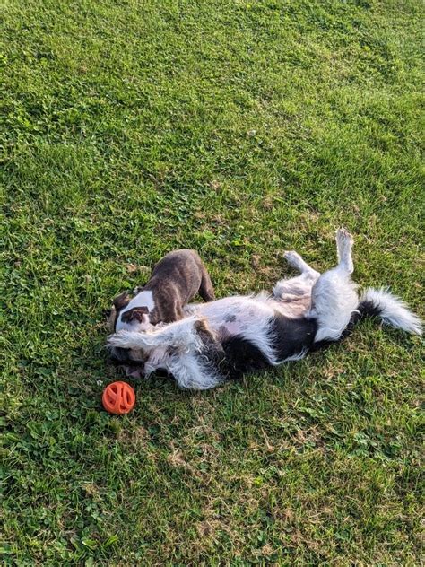 Kyle Moser On Linkedin Let The Wrestling Begin