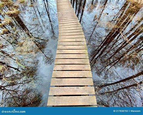 Passerelle En Bois à Travers Le Sentier Naturel Du Lac Image Stock
