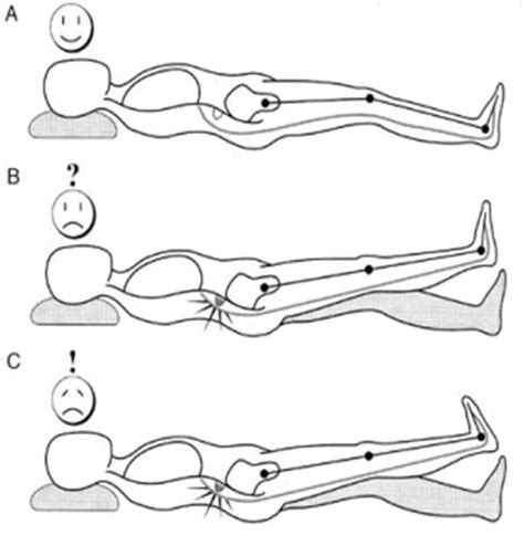 Le Special Tests And Neurodynamic Testing Flashcards Quizlet
