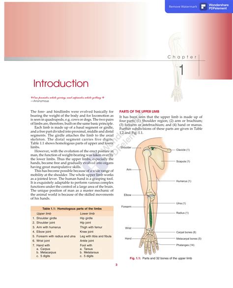 Solution Upper Limb Human Anatomy Mbbs Nursing Studypool