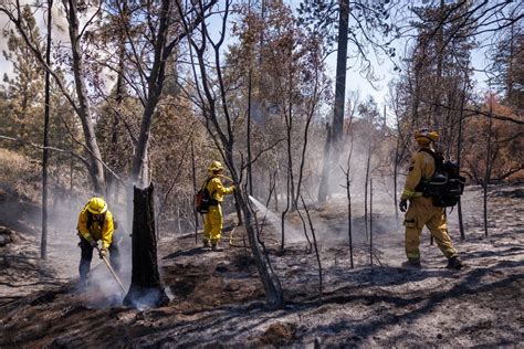 Tras Incendios Estados Unidos Plantará 1000 Millones De árboles