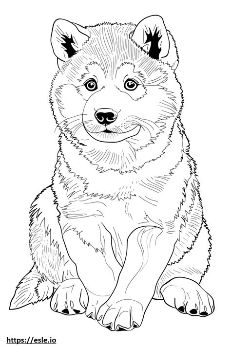 Alaskan Klee Kai Cute Coloring Page