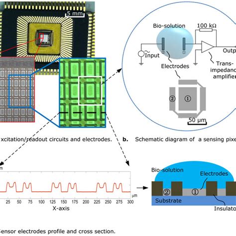 A Photographs Of The Integrated Chip The Sensing Area And The