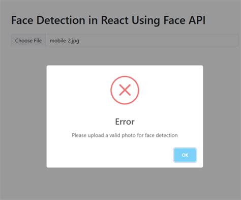 face detection app in react js with face api integration