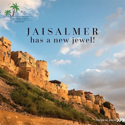 Rohit Saini Posted On Linkedin