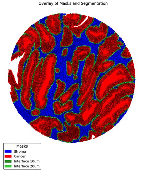 Integration Of Gridgen With Cell Segmentation — Gridgene 0 1 Documentation