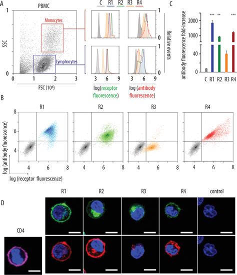 A B Flow Cytometry Dotplot Analysis Of Fluorescence For Peripheral Download Scientific