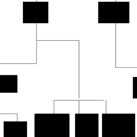 A Traditional Hierarchical Information Flow Which Constrains Choice And