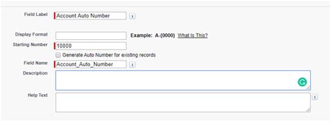 Salesforce Requirement To Create Conditional Auto Number Field For